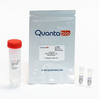 qPCR Reagents - Probe Based Detection Kits - WhiteSci