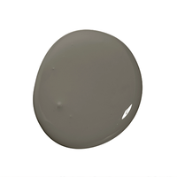 Buy Colourtrend Contemporary Collection - Burrowing 100ml online ...