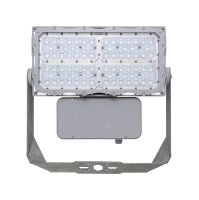 ProSite F1EN6B2CDENVGN | Floodlight - Caltech