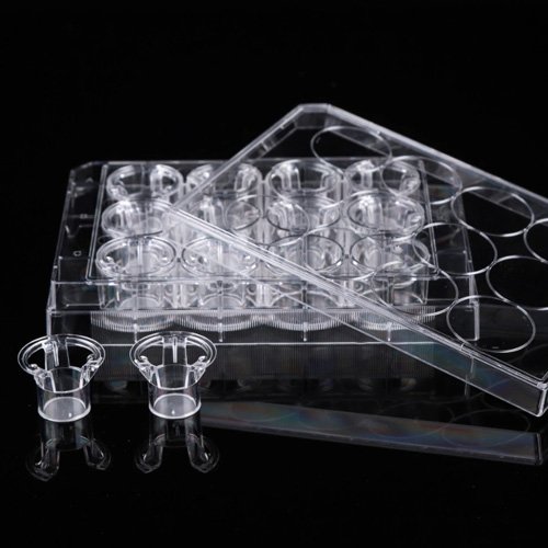 Cell Culture Inserts - WhiteSci