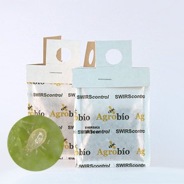 Amblyseius swirskii - Dejex