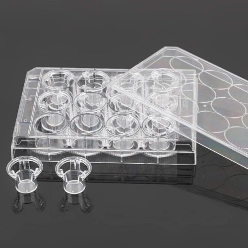 Cell Culture Inserts - WhiteSci