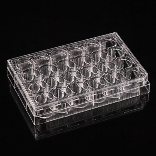 Cell Culture Plates - WhiteSci