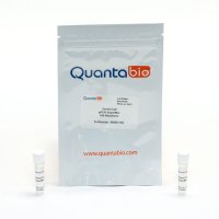 qPCR Reagents - Probe Based Detection Kits - WhiteSci