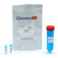 qPCR Reagents - Probe Based Detection Kits - WhiteSci