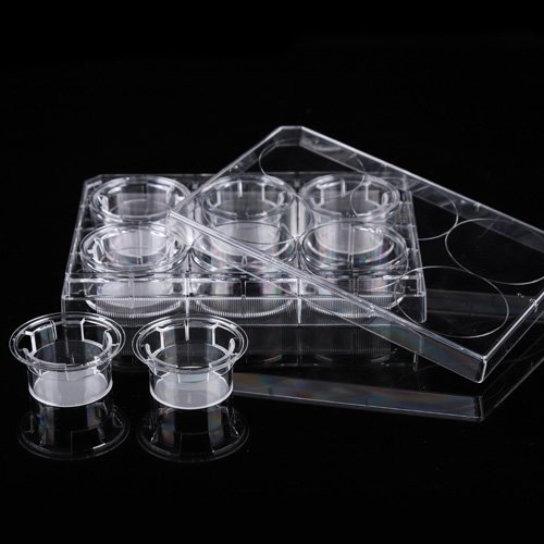 Cell Culture Inserts - WhiteSci