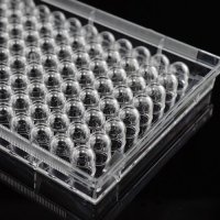 Cell Culture Plates - WhiteSci