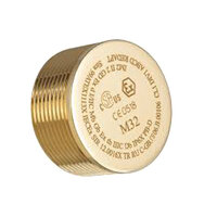 Brass Stopping Plug ATEX EExd - AP Haslam