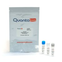 qPCR Reagent - cDNA Synthesis Kit - WhiteSci