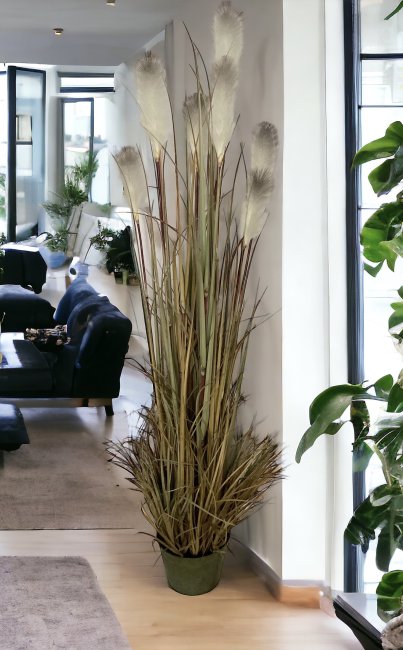Indoor | Plant | Reed Grass| 72"H | Metal Pot | Green White - MacQuillans