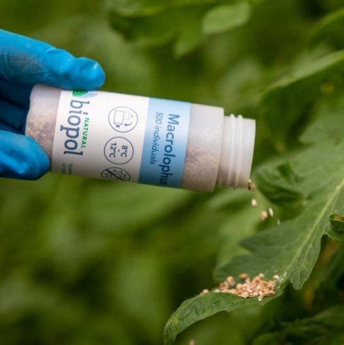 Wholesale Horticulture Supplies UK | Dejex Supplies Ltd - Dejex