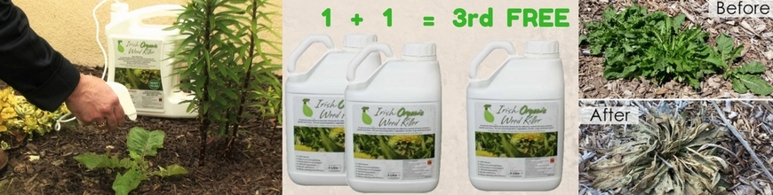 Cleaning Supplies & Equipment Ireland | Next Day Delivery - Wipeout