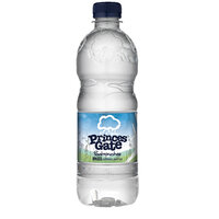 Bottle Water (Still)-Princess Gate - Redstar Foodservice Ltd – Premier ...