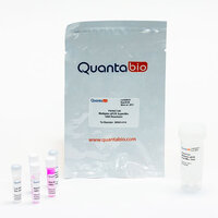qPCR Reagents - Probe Based Detection Kits - WhiteSci