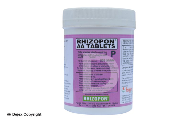 RHIZOPON TABLETS 50mg (IBA 20%) - Dejex