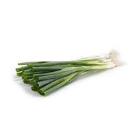 Spring Onions - Redstar Foodservice Ltd – Premier Food Distribution