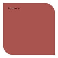 Weathershield Foxfire | Dulux Masonry Paint - Pat McDonnell Paints ...