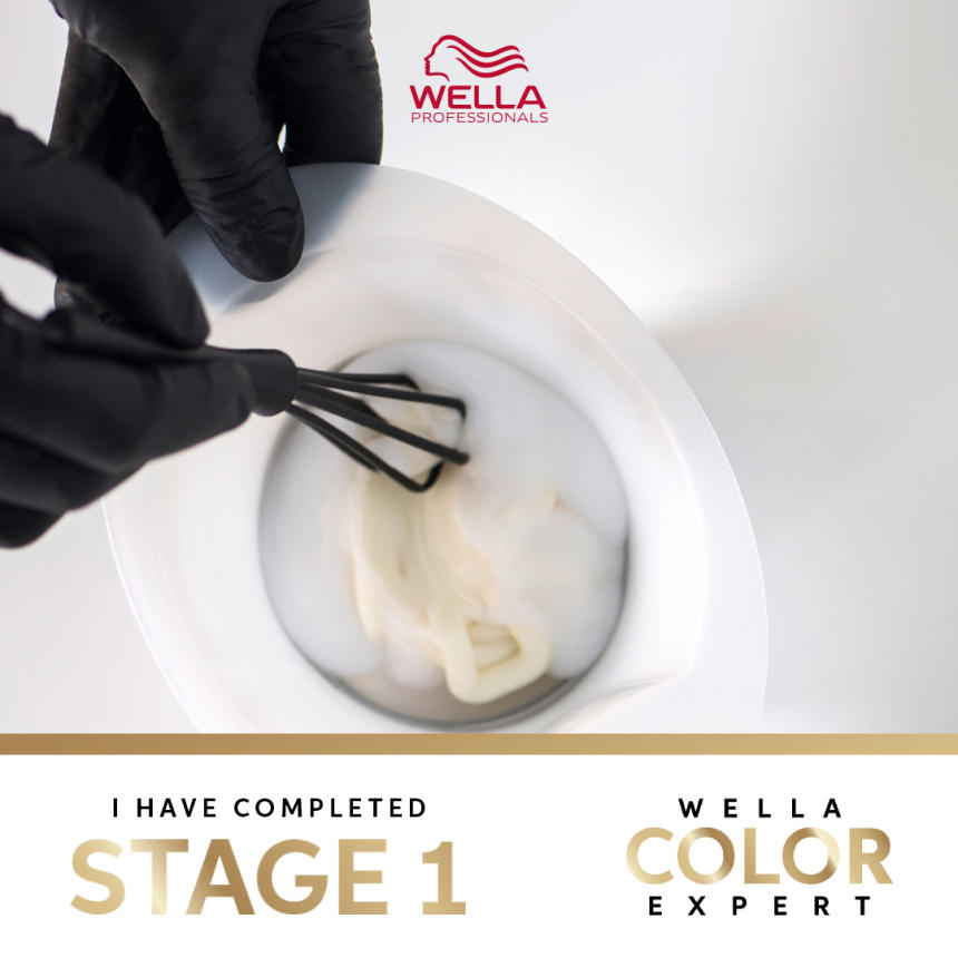 Wella Salon Marketing