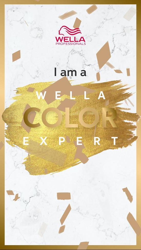 Wella Salon Marketing