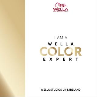 Marketing Tools | Wella Salon Marketing