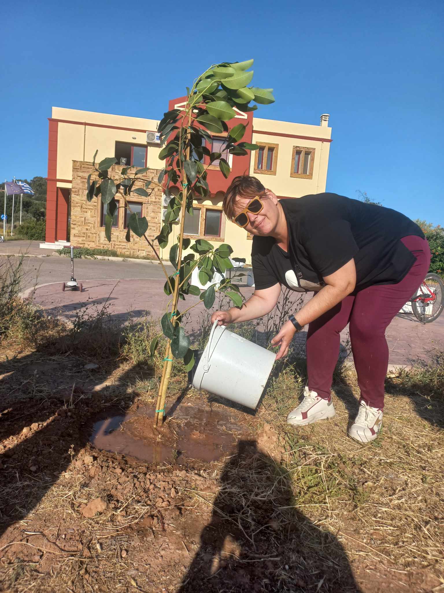 Planting a MAR-EVA Tree | World Maritime Academy