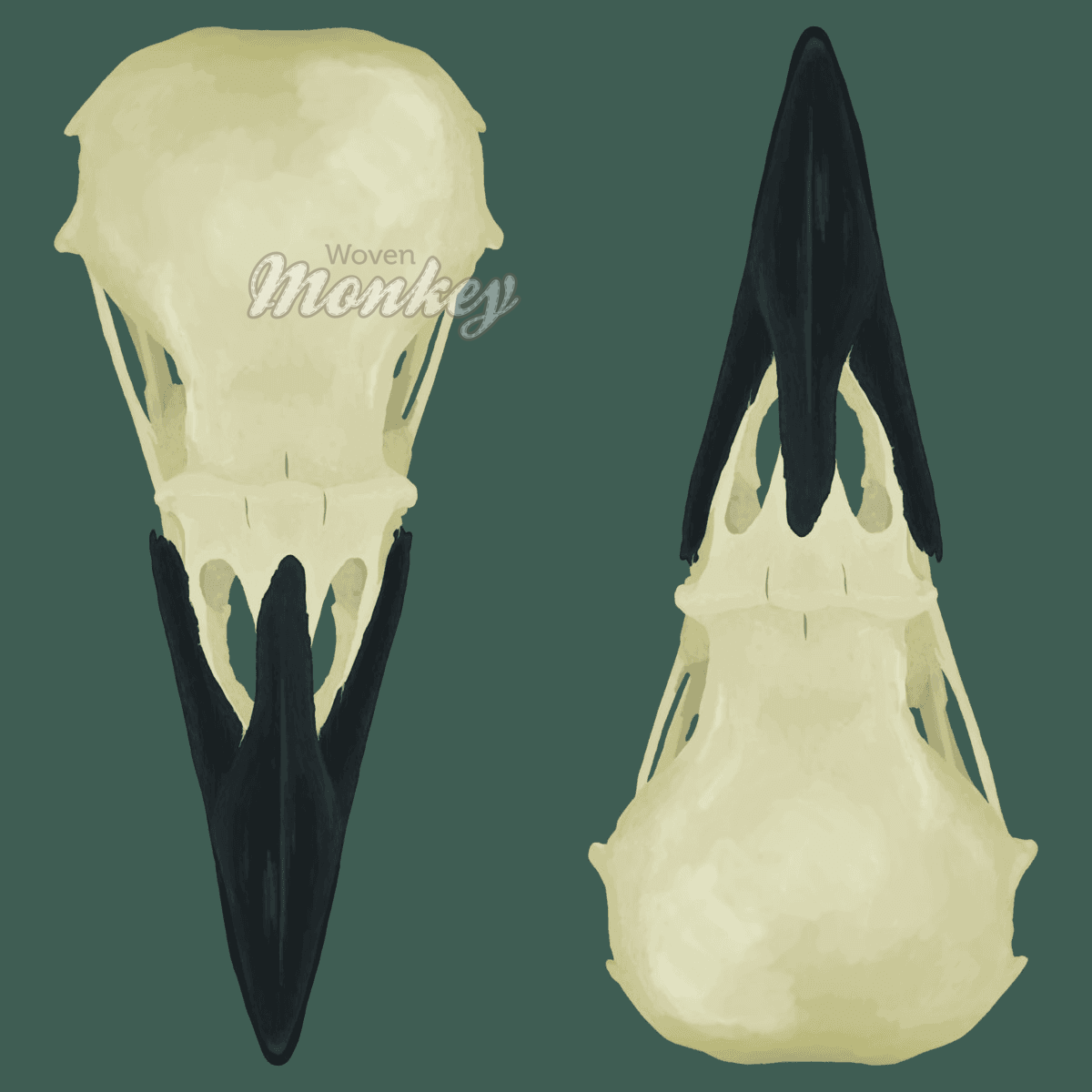 Raven Skull | Fabric | Woven Monkey