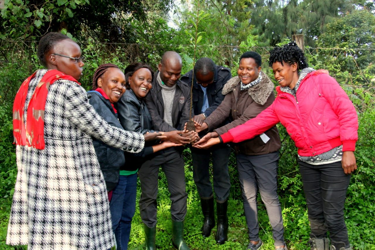 A locally led approach to restoration