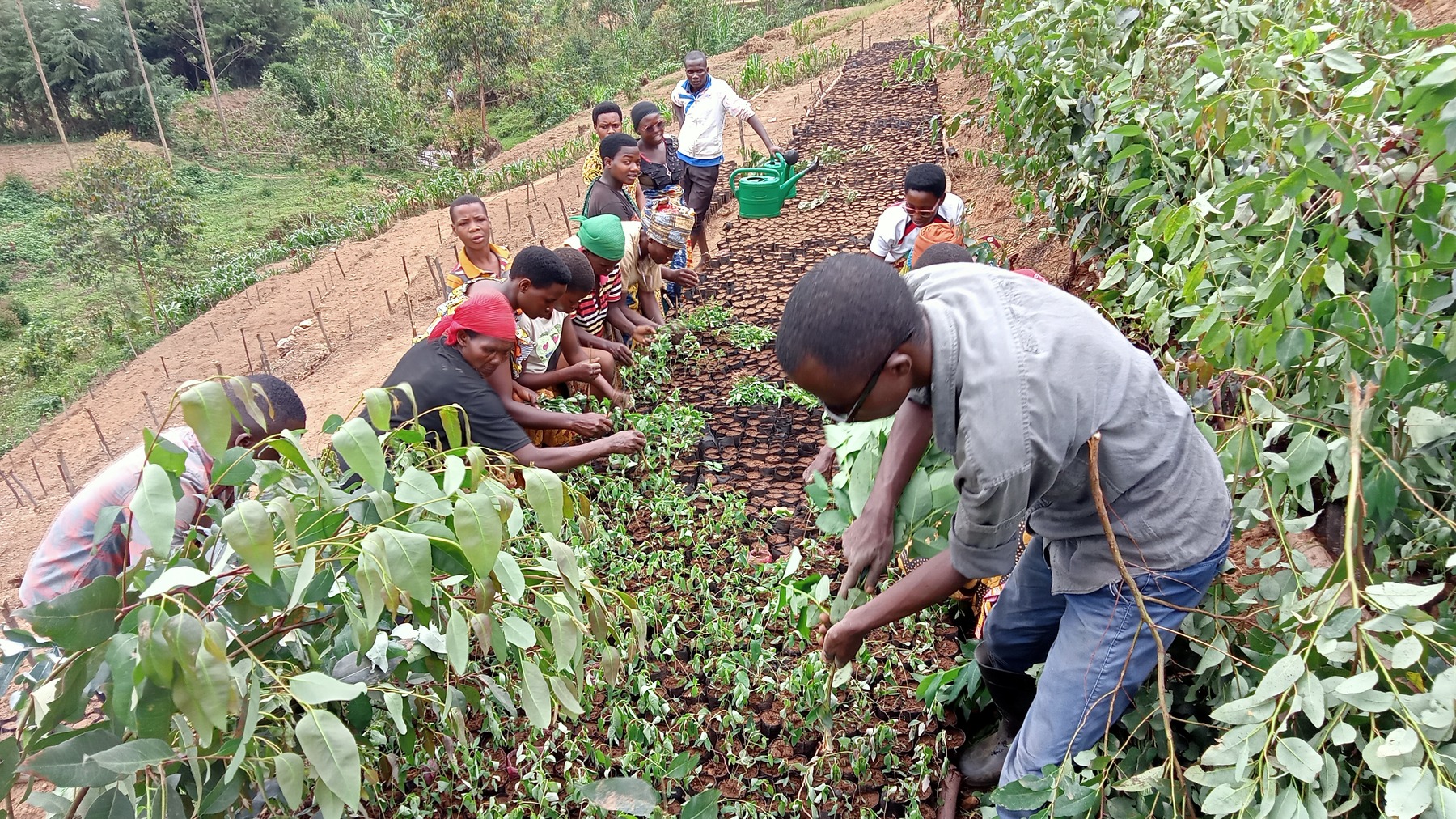 Redefining restoration by promoting income-generating activities