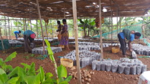 Reducing Environmental Degradation while Improving Livelihoods