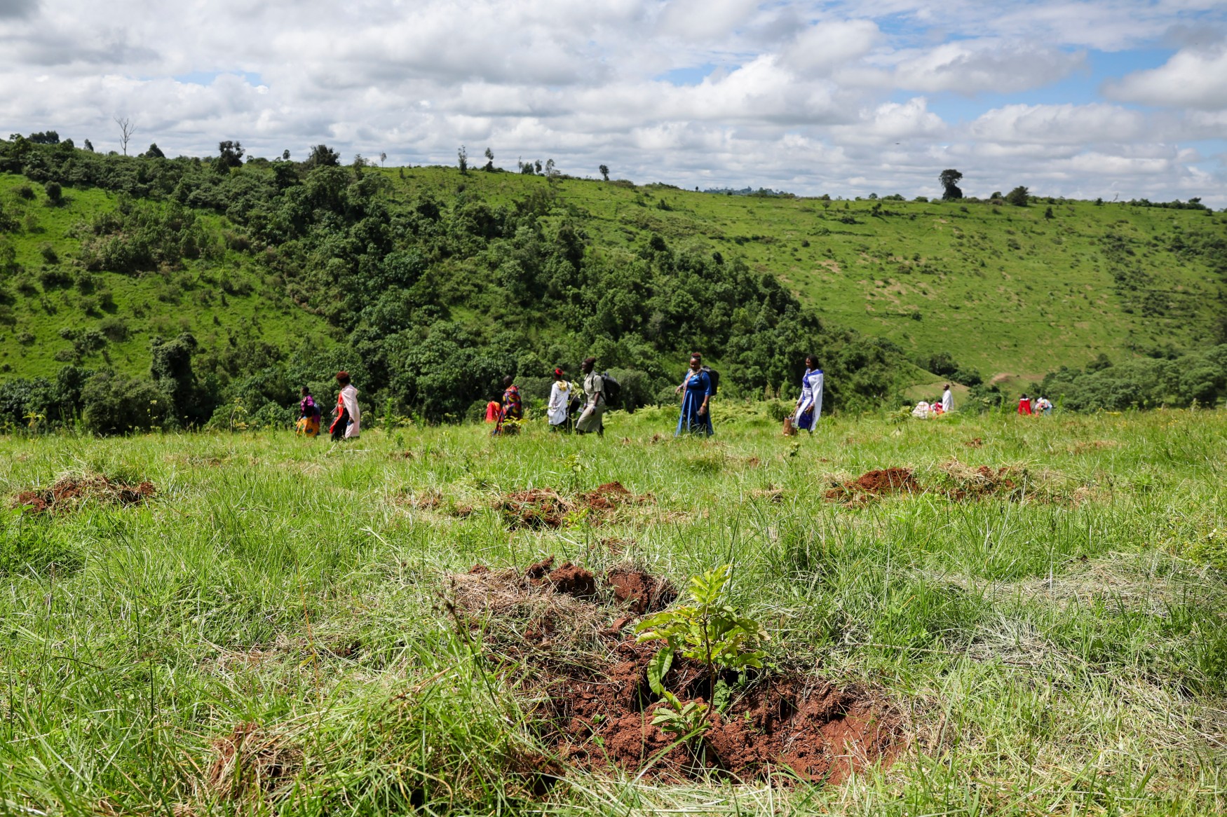 Meet the Indigenous Women Restoring Kenya's Mau Forest