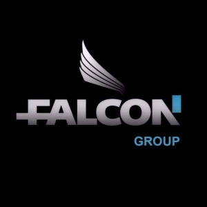 Jobs and Careers at Falcon Group, Egypt | WUZZUF
