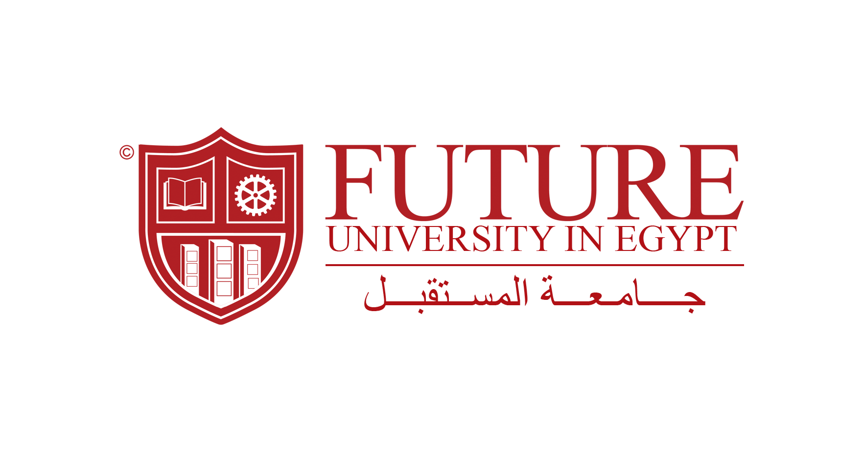 Jobs and Careers at Future University In Egypt, Egypt | WUZZUF