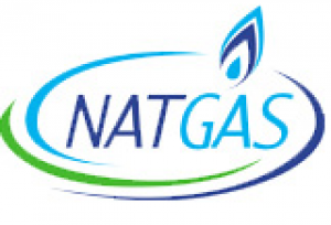 Jobs and Careers at Natgas, Egypt | WUZZUF