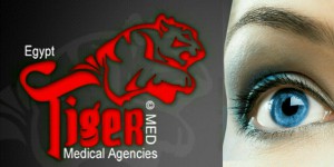 Jobs and Careers at Tiger Med For Medical Agencies, Egypt | WUZZUF