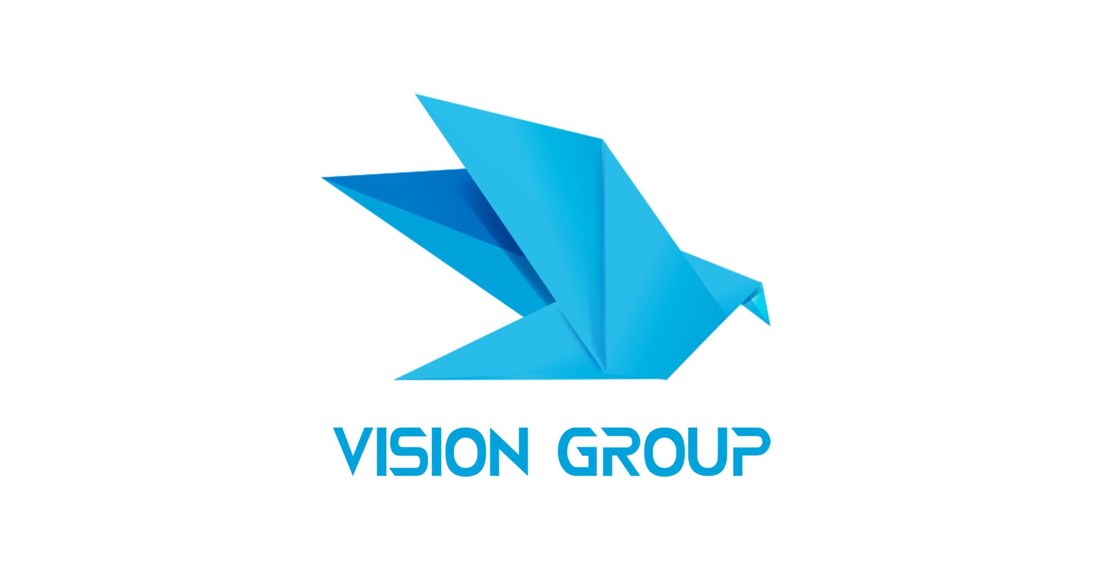 Jobs and Careers at Vision Group , Egypt | WUZZUF