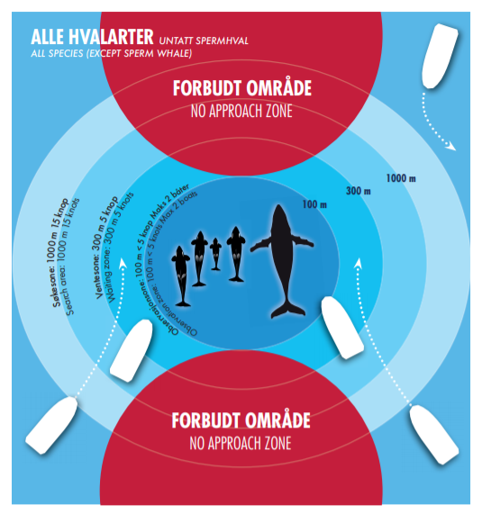 Norway | Whale Watching Handbook