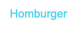 Lehrstellen bei Homburger AG